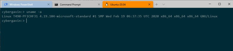 Install Windows Terminal using Scoop | Cybergavin